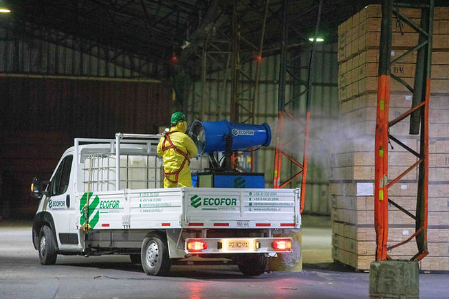 Servicio | Ecofor Group | Chile