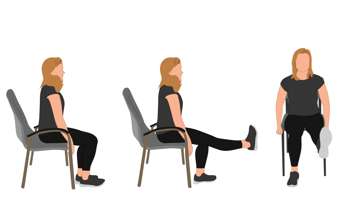 Seated Single-Leg Extension