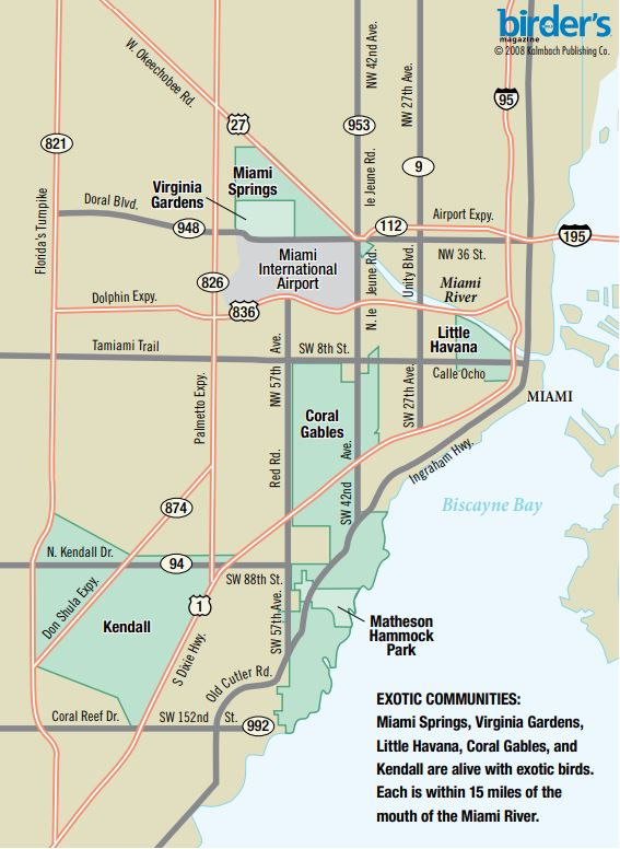 Exotic Birds of Miami and Where to Find Them