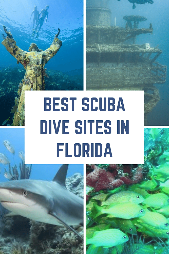 Best Scuba Dive Sites in Florida