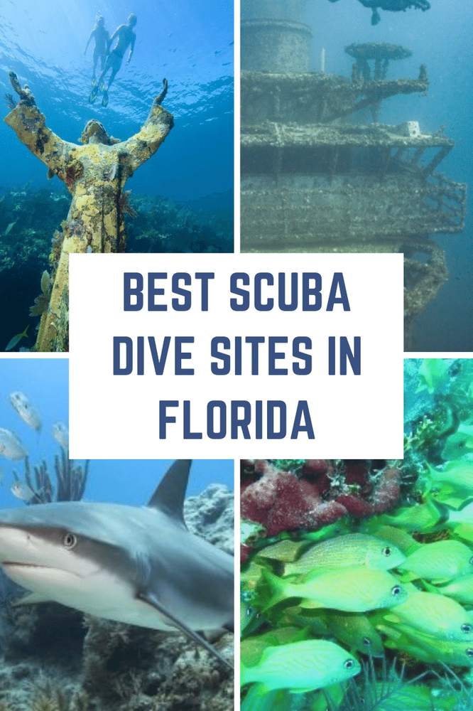 Best Scuba Dive Sites in Florida