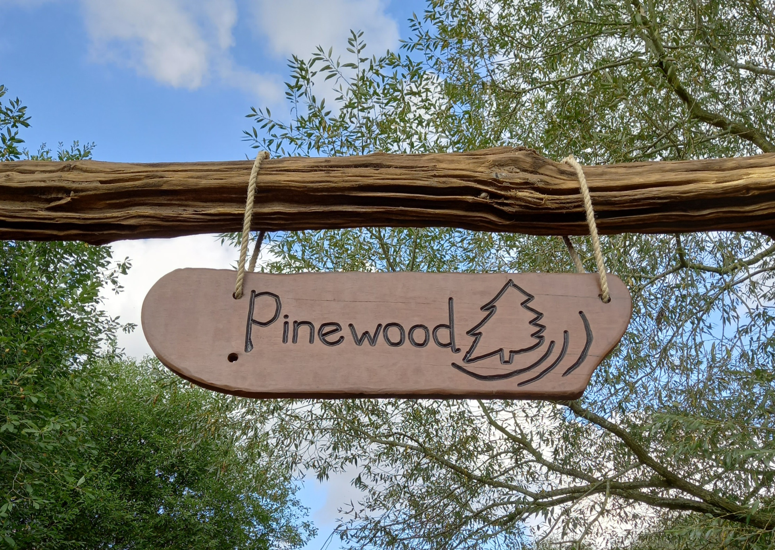 Pinewood | The Pinewood Trust | Brandesburton