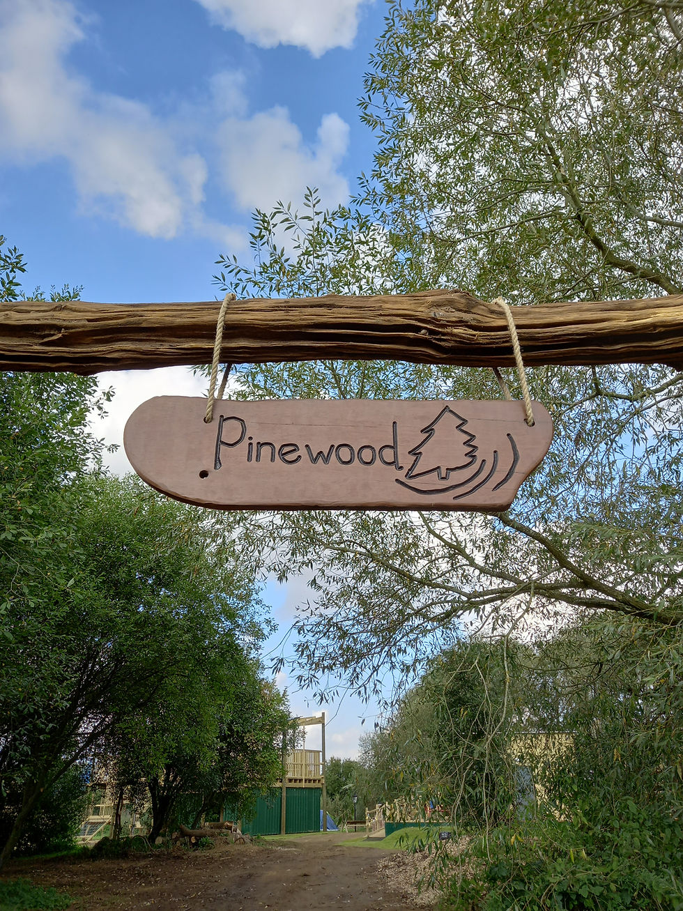 Gallery The Pinewood Trust