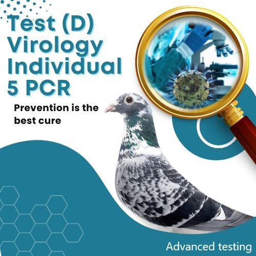Test (D) Virology Individual 5 PCR Viruses Test | RP Diagnostic Labs