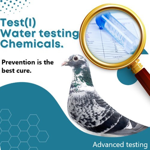 Test (I)Comprehensive water testing package: | RP Diagnostic Labs