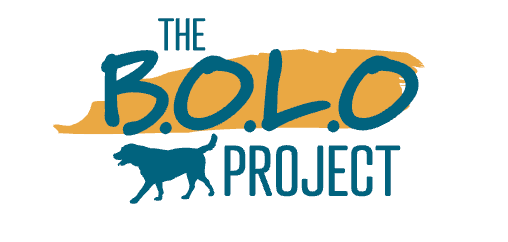 Programs | The Bolo Project