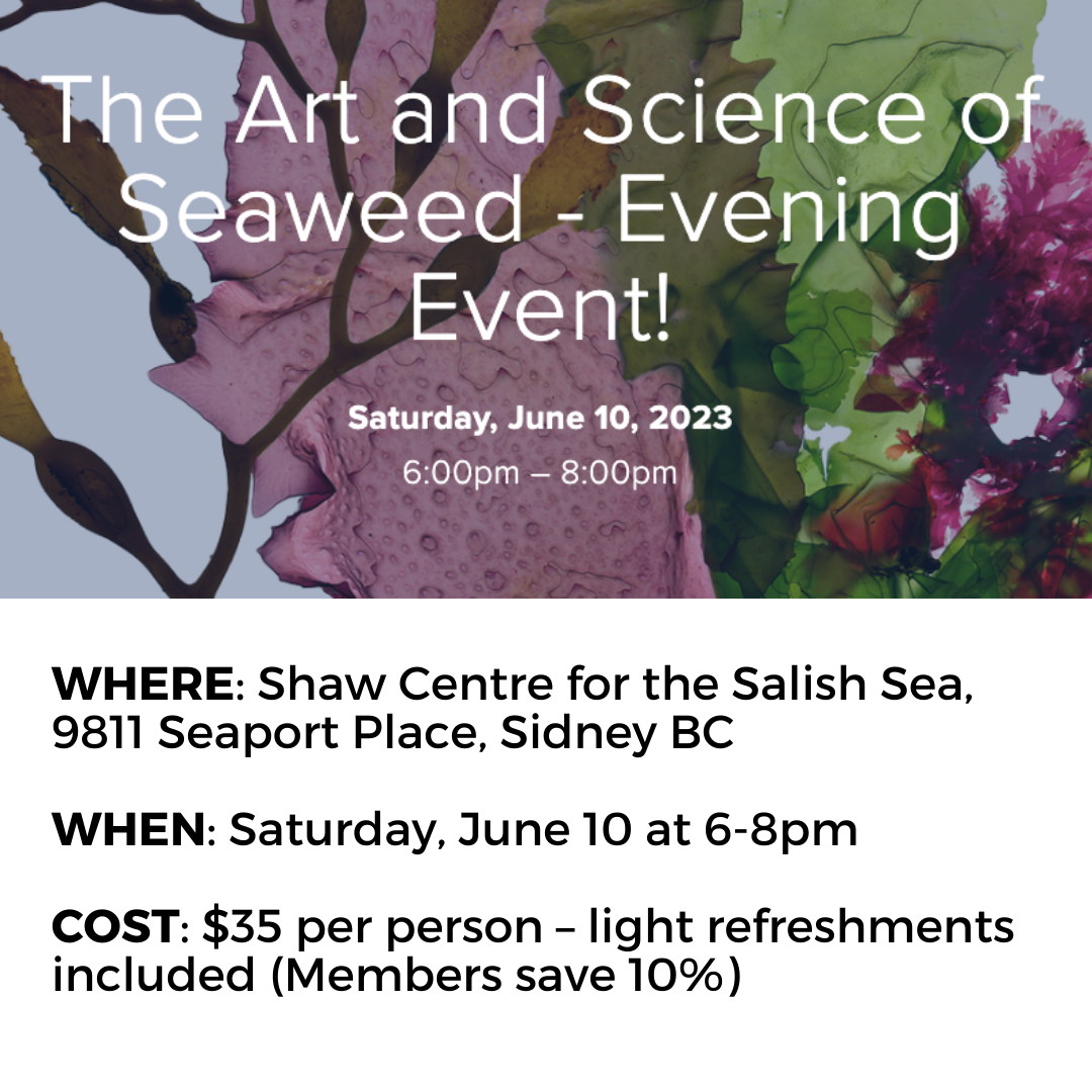 Top 5 events this World Ocean Week!