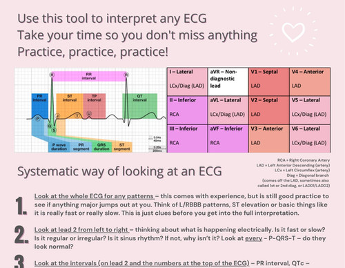 ECG Interpretation Tool - Pink | Nurse Sibs