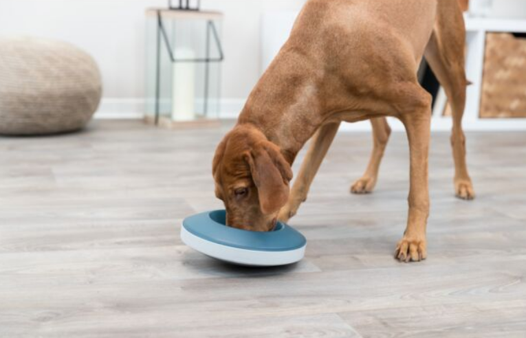 trixie-rocking-bowl-for-treats-or-as-a-slow-feeder