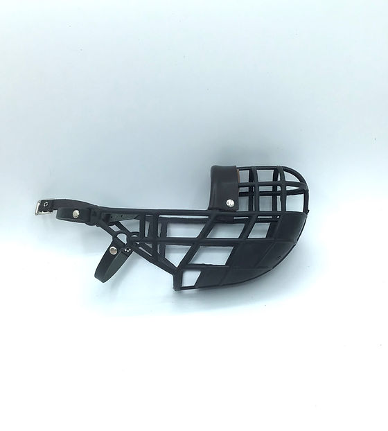 greyhound box muzzle