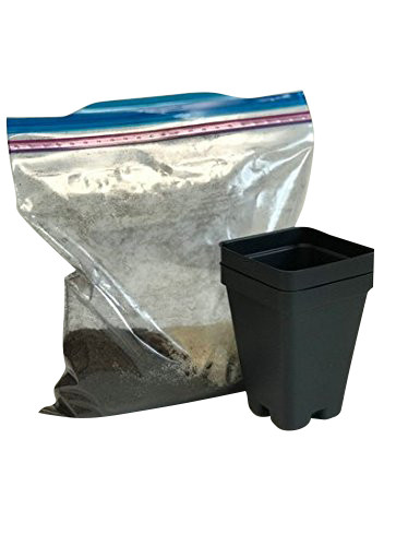 Transplant Kit, Carnivorous Plant Soil with 2 Planters | Bloomify