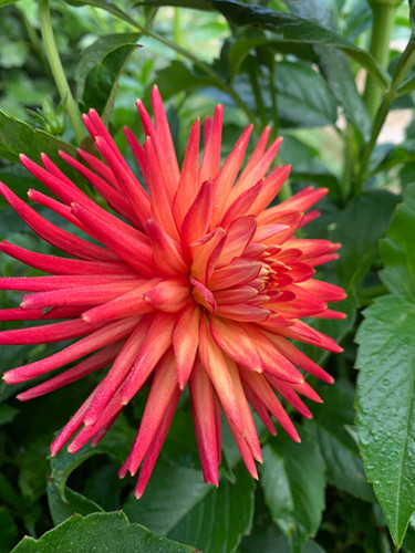 Bloomquist Tracy G | Brentwood Farm