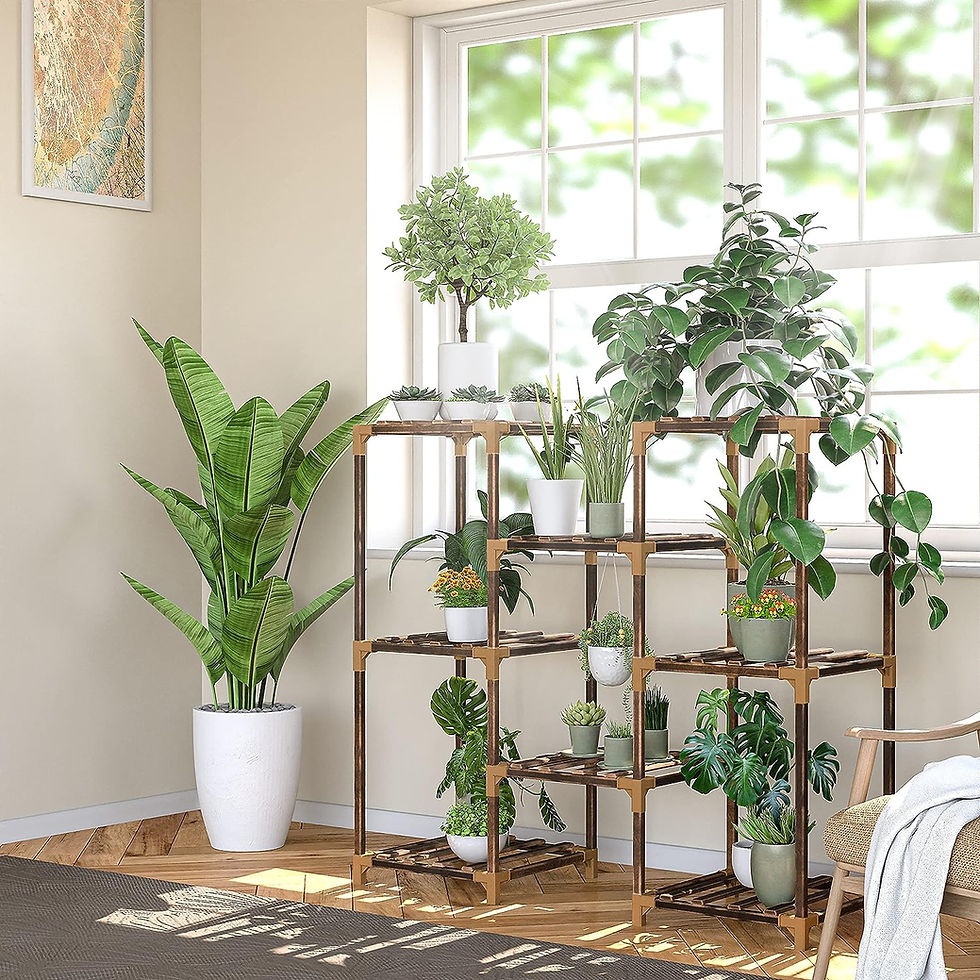 15 Multi-Tiered Plant Stands to Elevate Your Indoor Garden