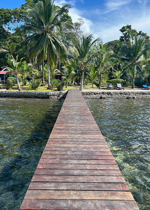 ROOMS | Dolphin Blue Paradise | Bocas del Toro ROOMS | Dolphin Blue Paradise | Bocas del Toro