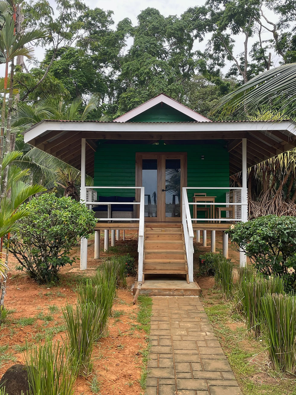 ROOMS | Dolphin Blue Paradise | Bocas del Toro ROOMS | Dolphin Blue Paradise | Bocas del Toro