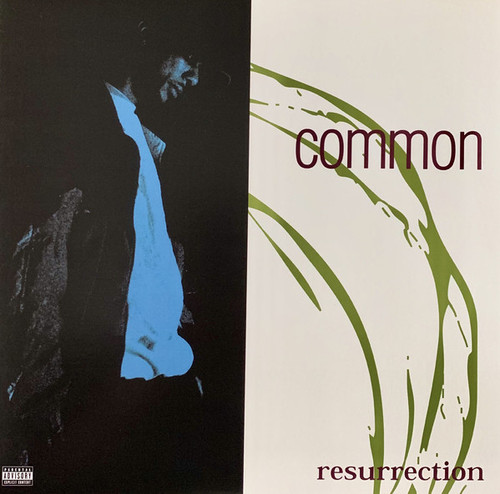Common - Resurrection [NEW][LP] | Heavy Heads Records | https://static ...