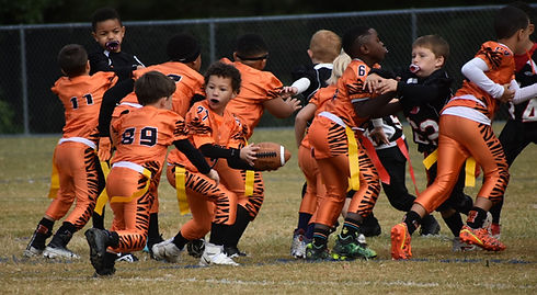 Football | Chesterbengals.org