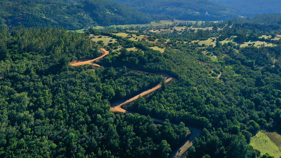 RESERVA HIDANGO | Secreto de Topocalma