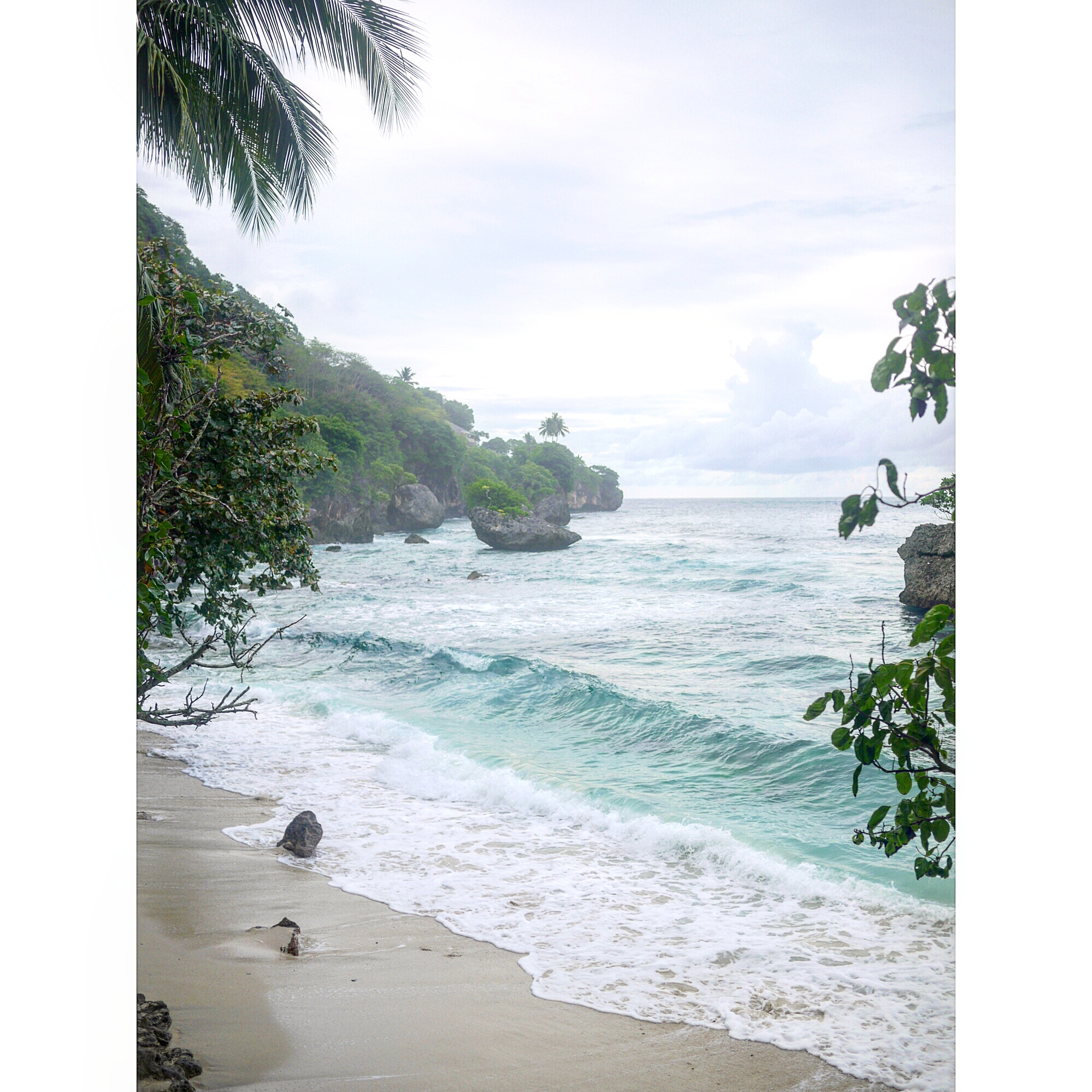 Visiting Christmas Island | Shire of Christmas I