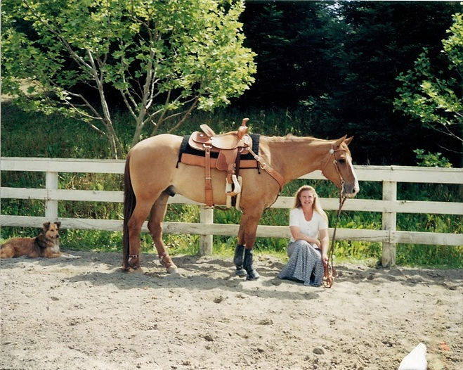 Kindergarten TheClarityHorseBlog Kindergarten TheClarityHorseBlog