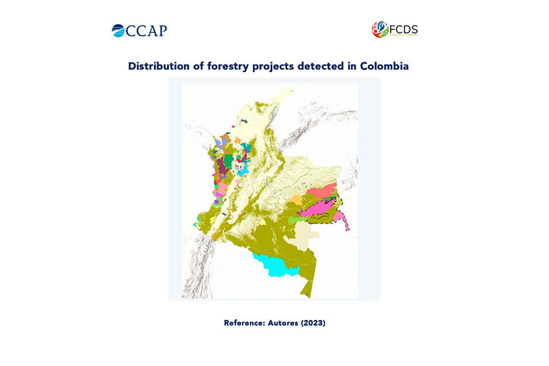 Report | Analyzing Deforestation Trends in Colombian REDD+ Projects