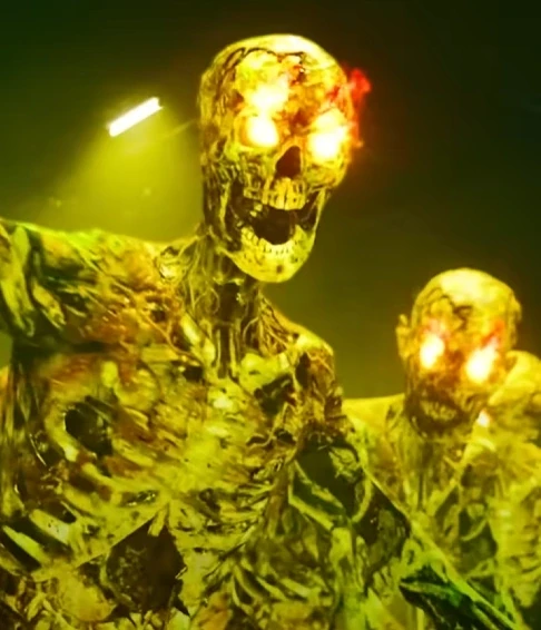 BO6/7 Toxic Zombies