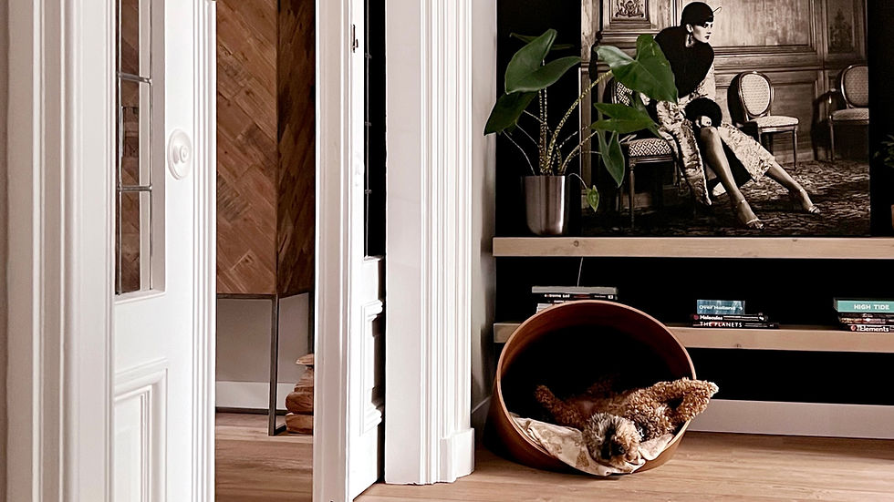 Design Ideas For Decorating a Home with Pets