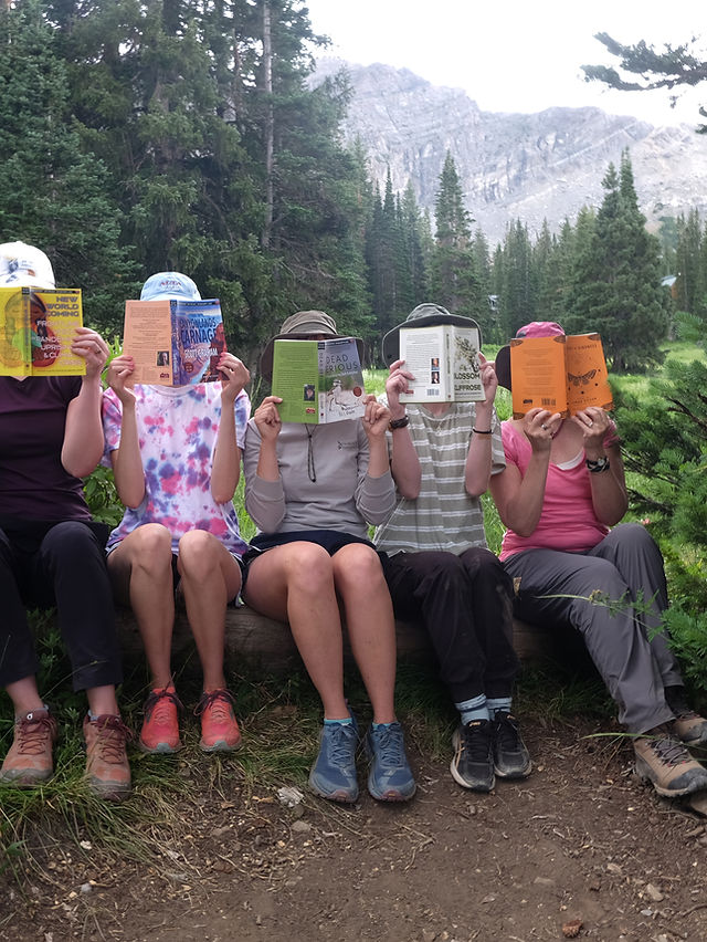 publishing internships