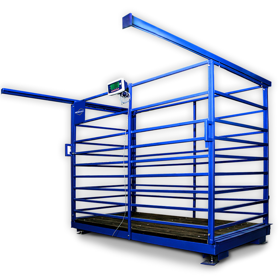 Básculas Ganaderas | Basculas Metrology