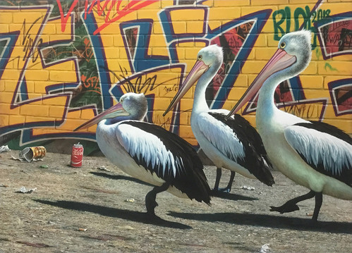 Paul James - Wize Gize | Bluestone Art