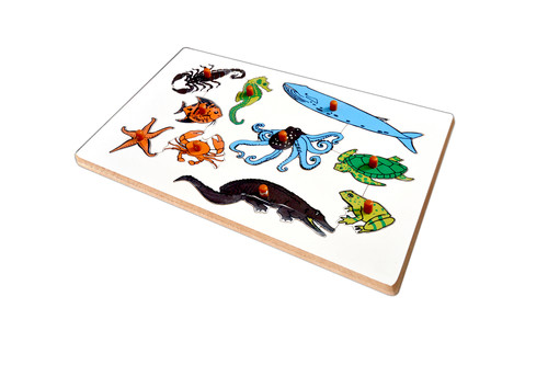 Inset Boards: Aqua Animals | Kids World