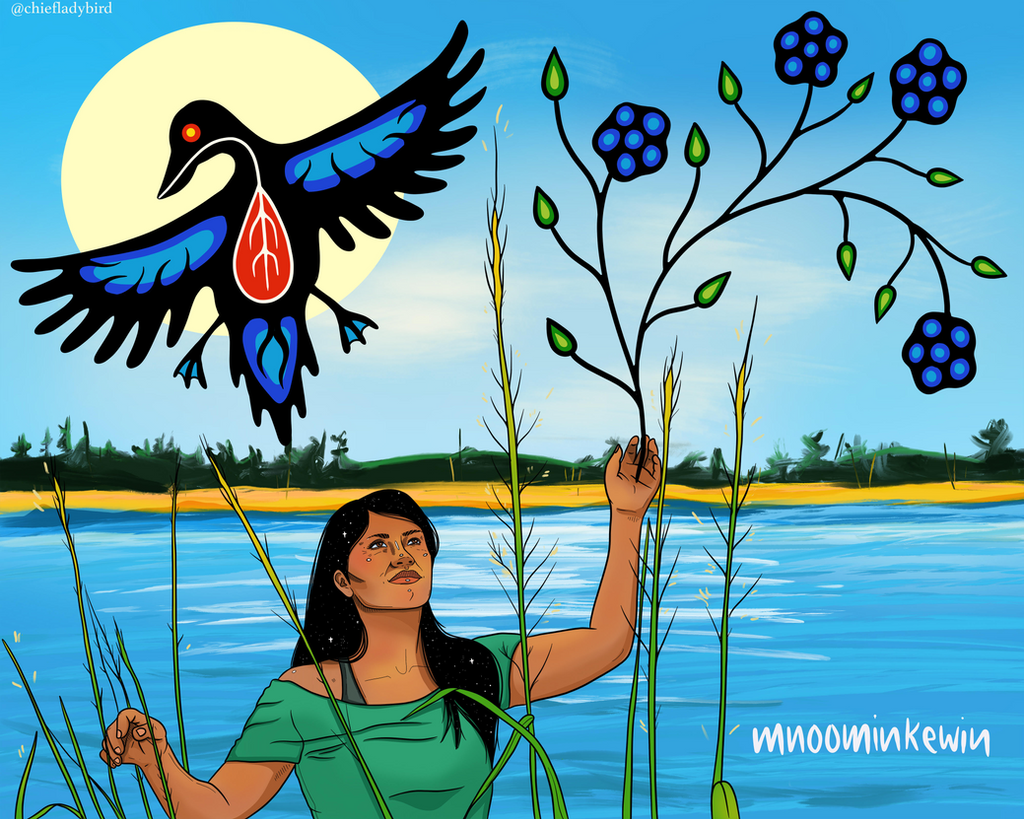 Black Duck Wild Rice | James Whetung | Pigeon Lake