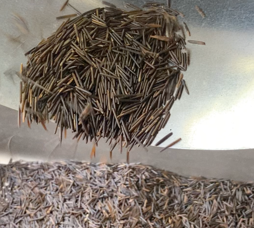 Black Duck Wild Rice | James Whetung | Pigeon Lake