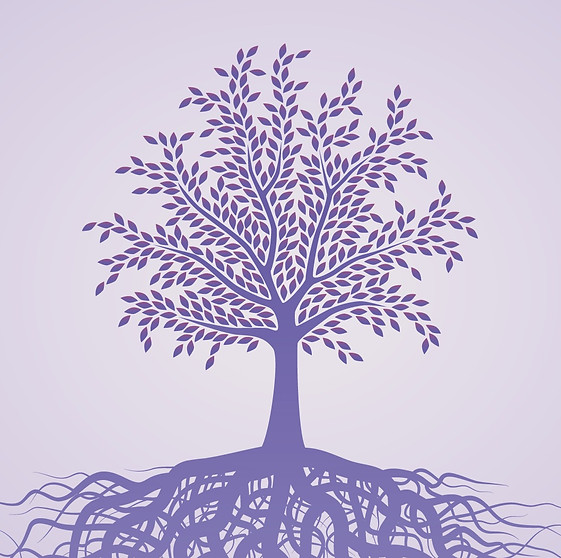 Discover The World Of Metavision Institute