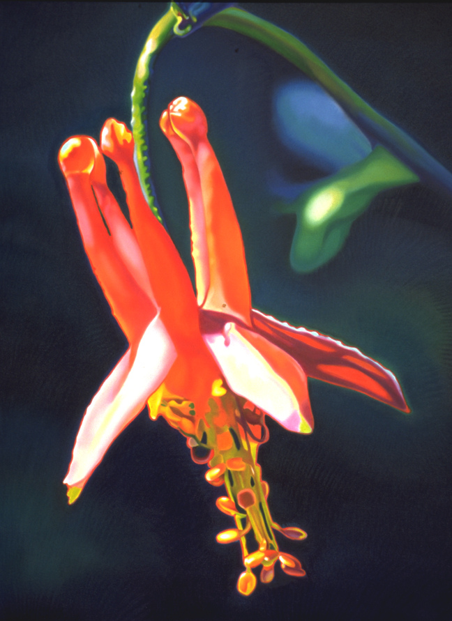 Brynn Carroll Art | Portfolio