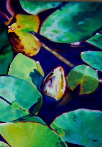 Brynn Carroll Art | Portfolio