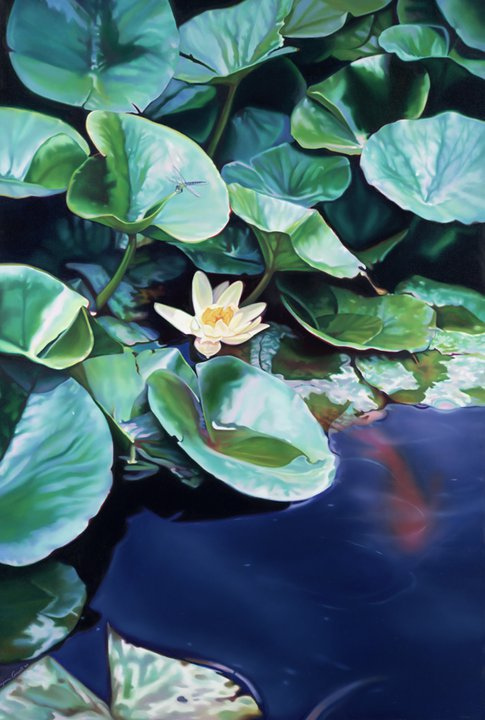 Brynn Carroll Art | Portfolio