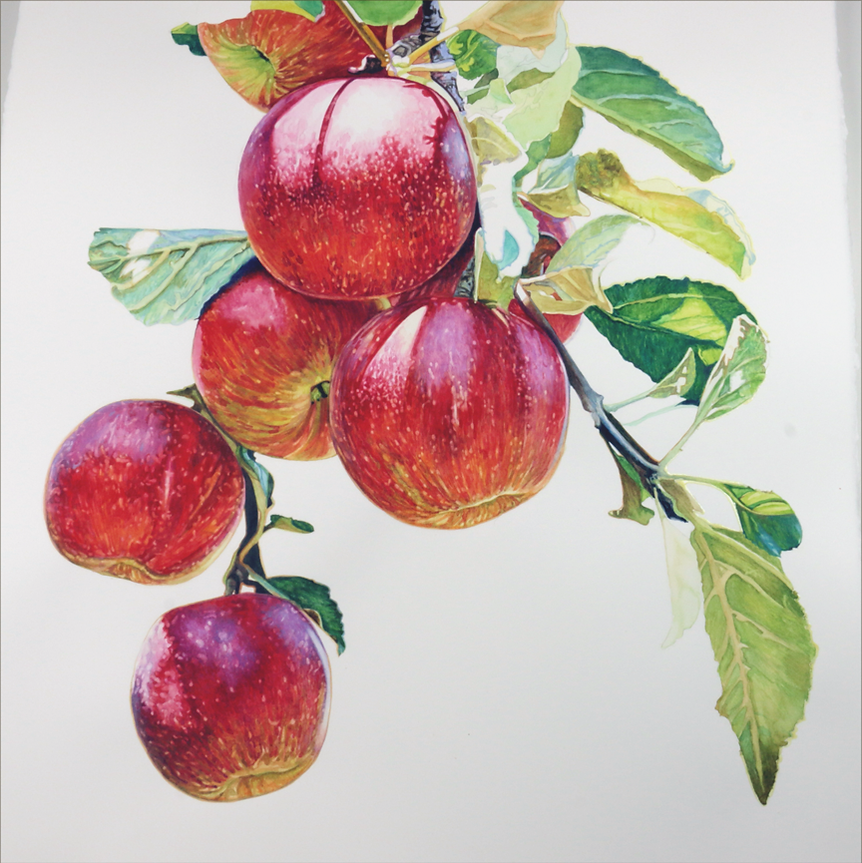 Brynn Carroll Art | Portfolio