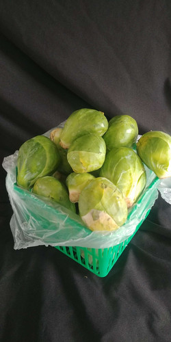 Brussel Sprouts | Moore Farms Store
