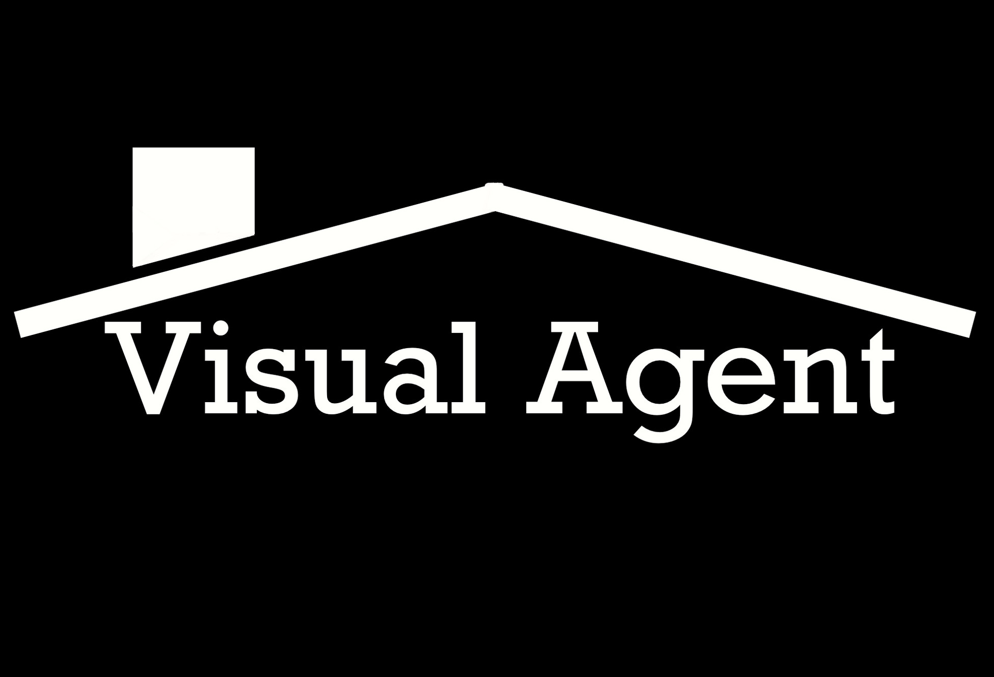 Examples | Visual Agent | United States