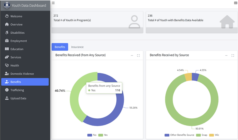 COHHIO Launches Youth Homelessness Dashboard Developed by Ketchbrook ...