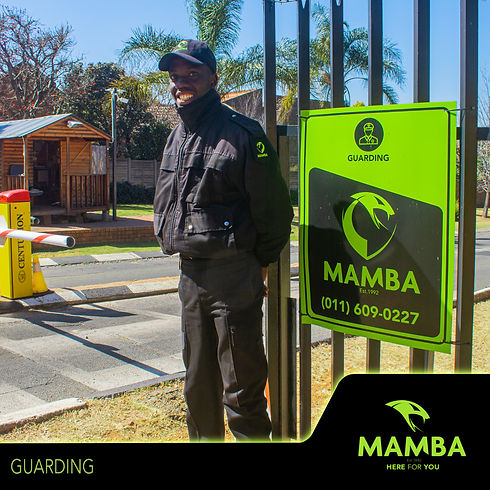 Guarding | Mamba Security