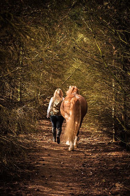 Equine Portrait Photographer | Doncaster Retford Scunthorpe