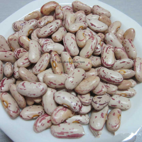 New crop light speckled kidney bean | Blue Star Global