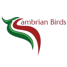Stoke Edith | Cambrian Birds