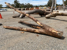 Gallery | Perth Nature Play