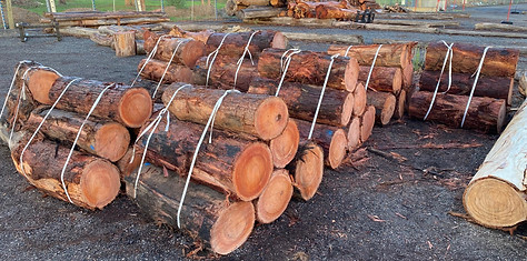 Timber | Perth NaturePlay and Timber | Hazelmere