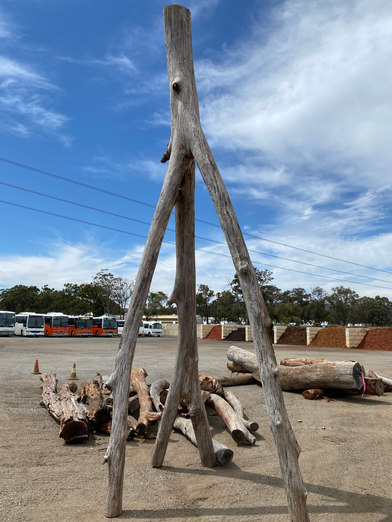 Gallery | Perth Nature Play