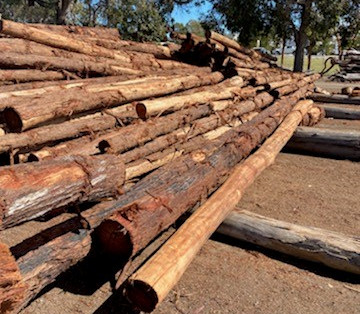 Timber | Perth NaturePlay and Timber | Hazelmere