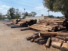 Gallery | Perth Nature Play